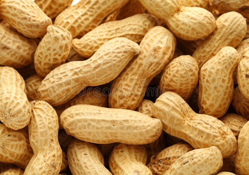 Peanuts border stock image. Image of texture, food, nutshell - 36036611