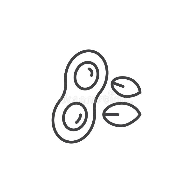 Peanut Icon Vector Set on White Background Stock Illustration ...