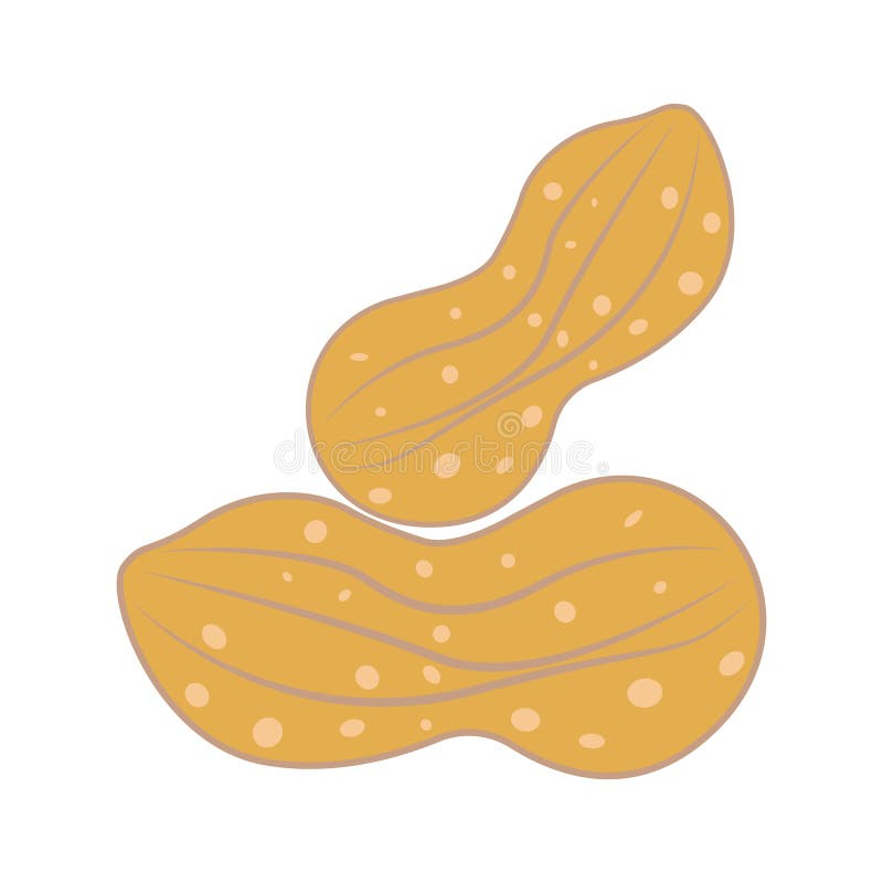 Peanut icon stock vector. Illustration of groundnut - 281484125