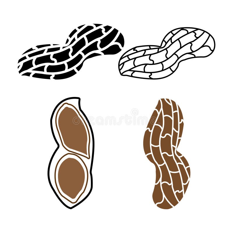 Peanut icon stock vector. Illustration of menu, healthy - 290990565