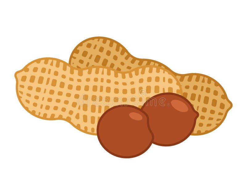 Peanut Isolated Sign. Groundnut Symbol Stock Vector - Illustration of ...