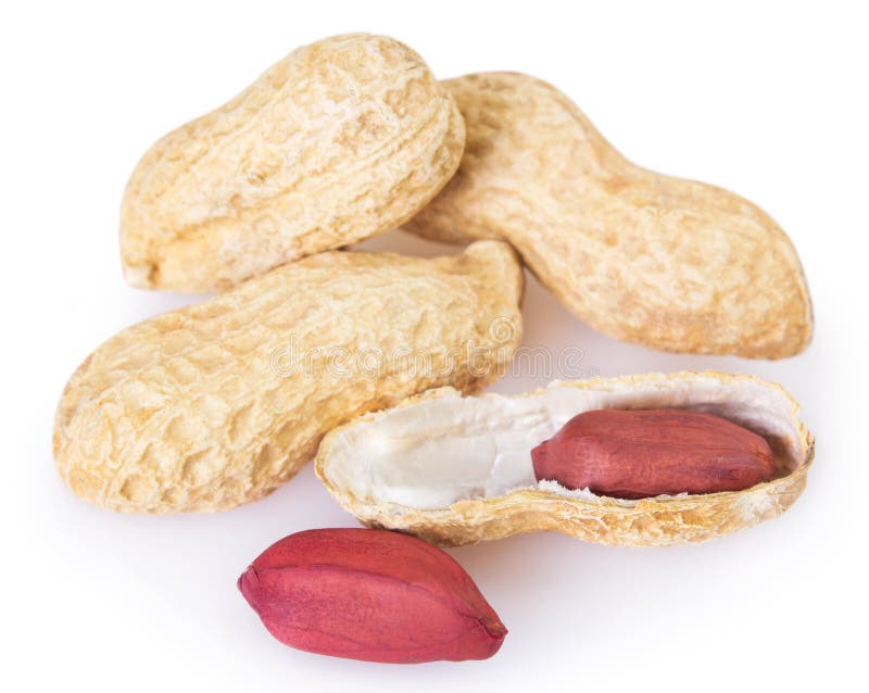 Peanut on white background stock photo. Image of dried - 131118686