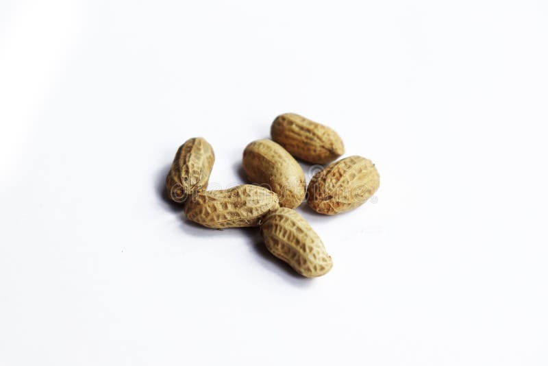 Peanut Isolated on White Background Stock Photo - Image of peanut ...