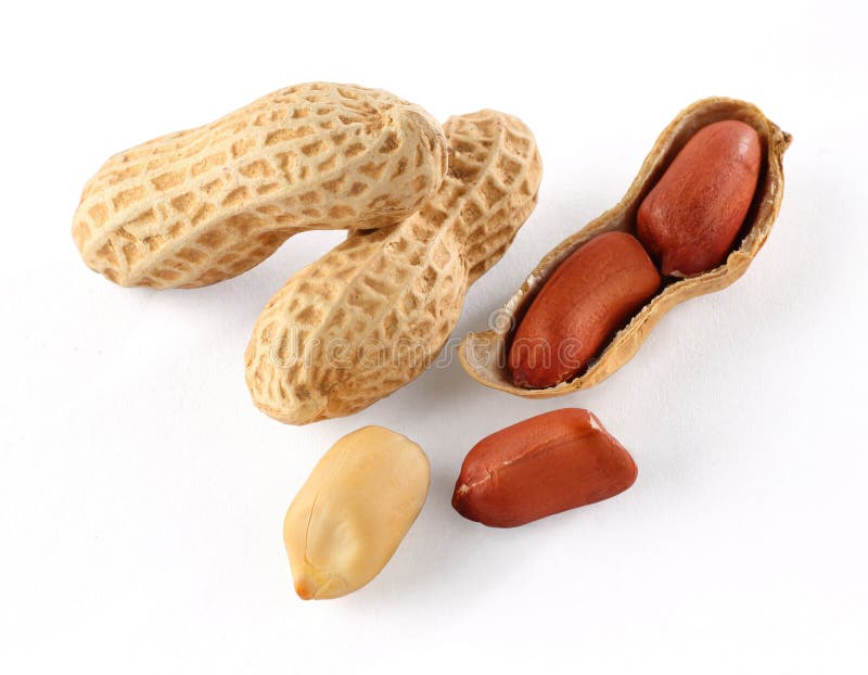Peanut stock image. Image of food, core, legume, peanut - 33703381