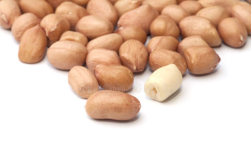 Peanut isolated stock photo. Image of grain, peanut, cholesterol - 35850066