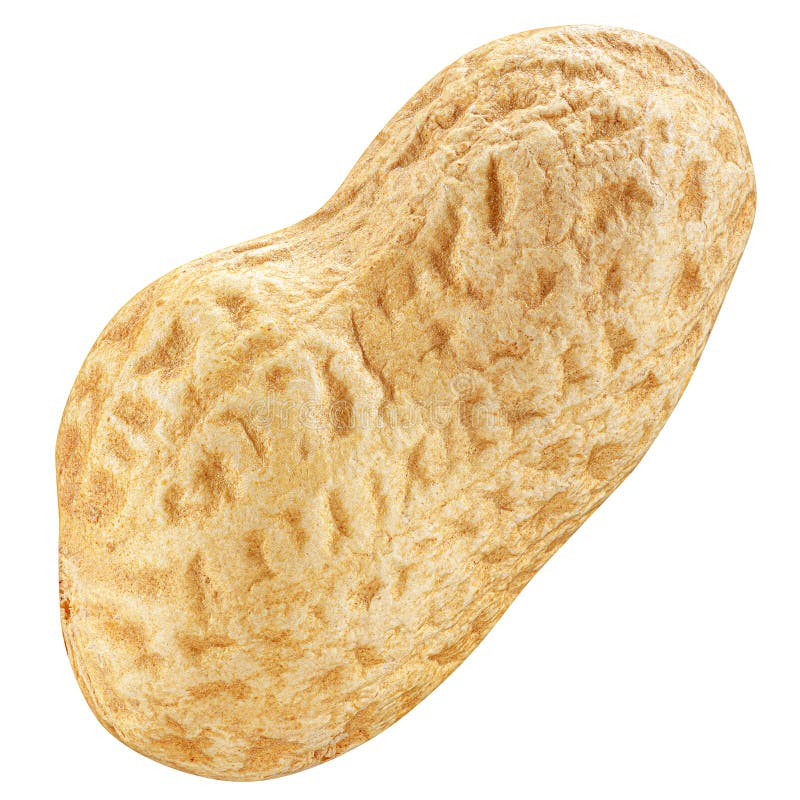 Peanut Isolated on White Background. Panorama of Red Peanut Close-up ...
