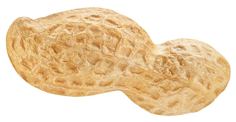 Peanut Isolated on White Background. Panorama of Red Peanut Close-up ...