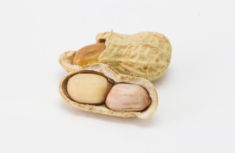 Peanut Isolated on White, Groundnut ,dry Peanut Stock Image - Image of ...