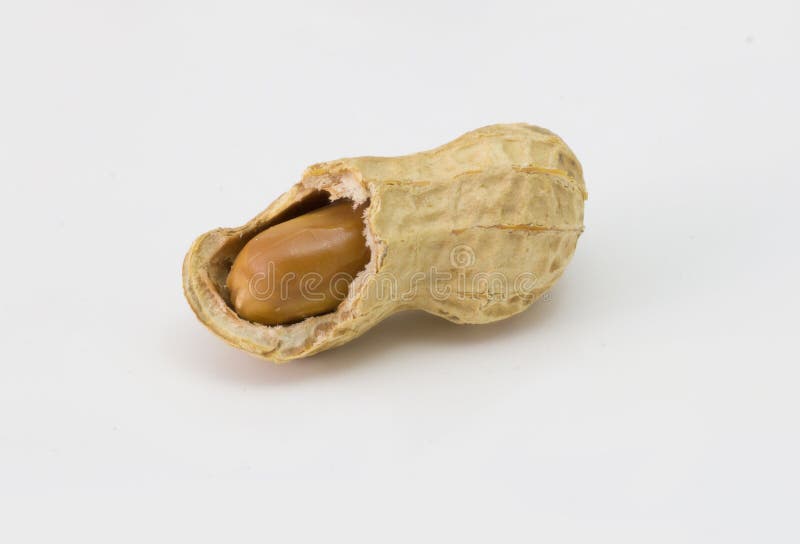 Peanut Isolated on White, Groundnut ,dry Peanut Stock Image - Image of ...