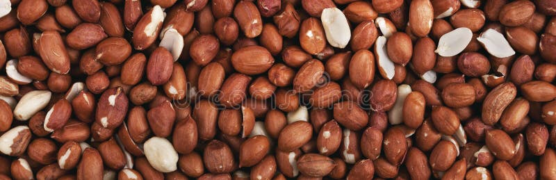 Peanut kernels, no shell. stock photo. Image of texture - 168815120