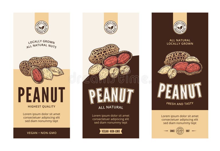 Peanut Labels in Modern Style Stock Vector - Illustration of brand ...