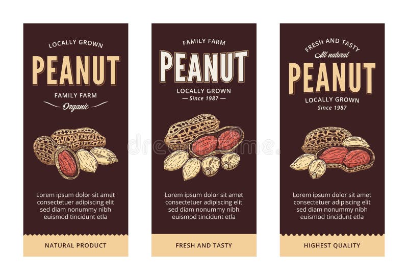 Peanut Labels in Modern Style Stock Vector - Illustration of branding ...