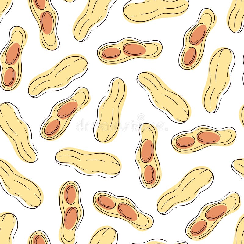 Peanuts Set. Hand Drawn Sketch Style Ground Nuts Collection. Organic ...