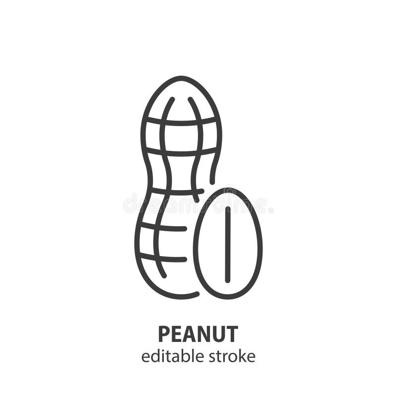 Peanut Line Icon. Nut Sign. Vector Illustration Stock Illustration ...