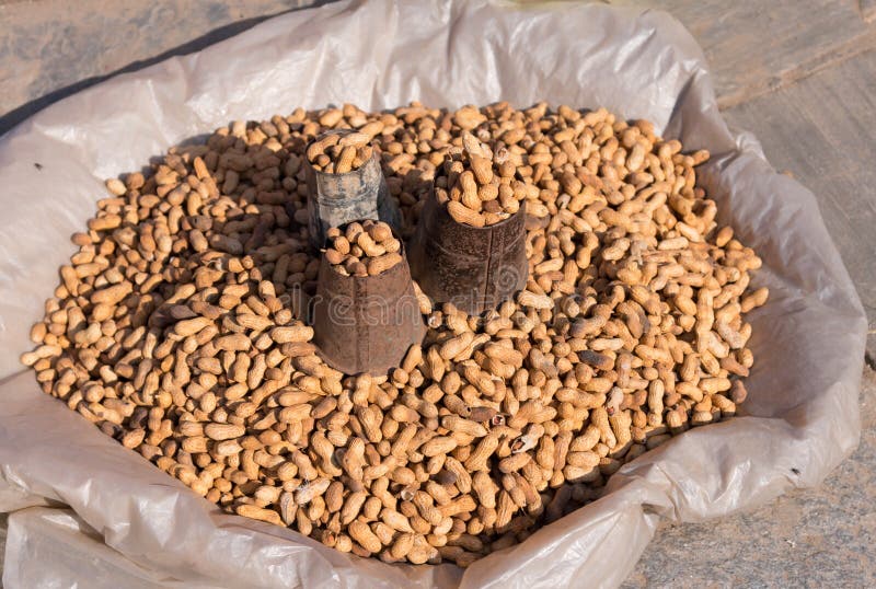 Nepali Peanut Sadeko stock photo. Image of asia, indian - 215705276