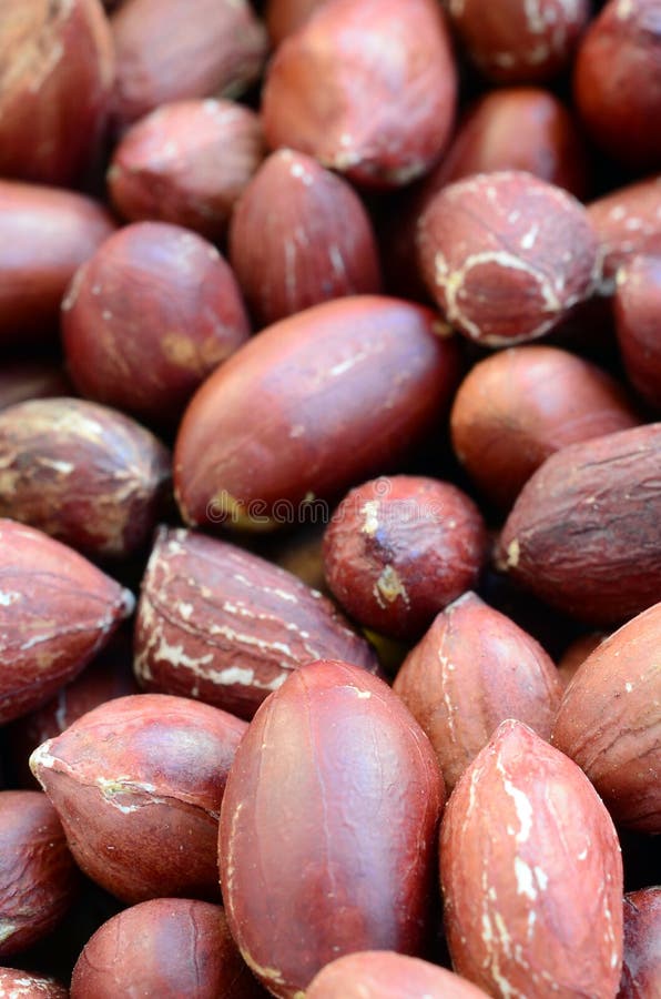 Peanut. a Lot of Small Yellow Nuts with Brown Peel Stock Image - Image ...