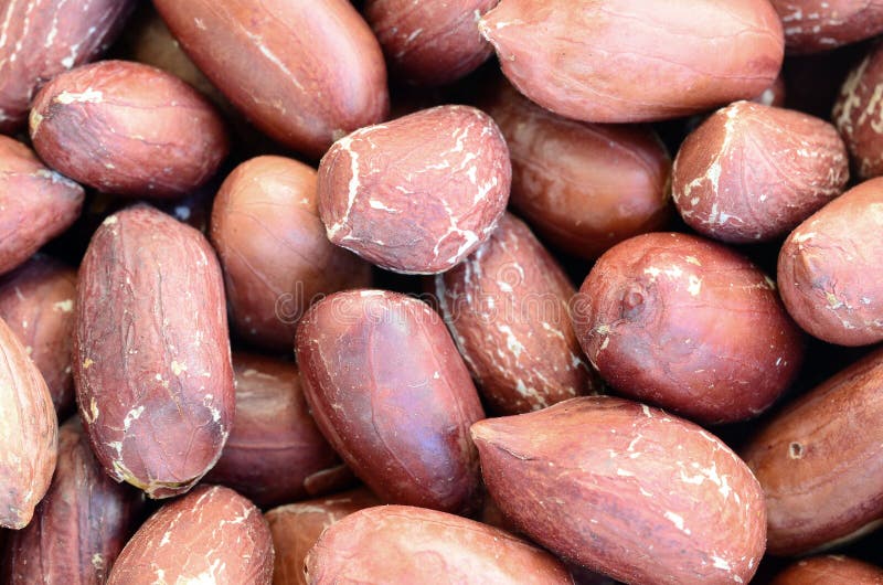 Peanut. a Lot of Small Yellow Nuts with Brown Peel Stock Photo - Image ...