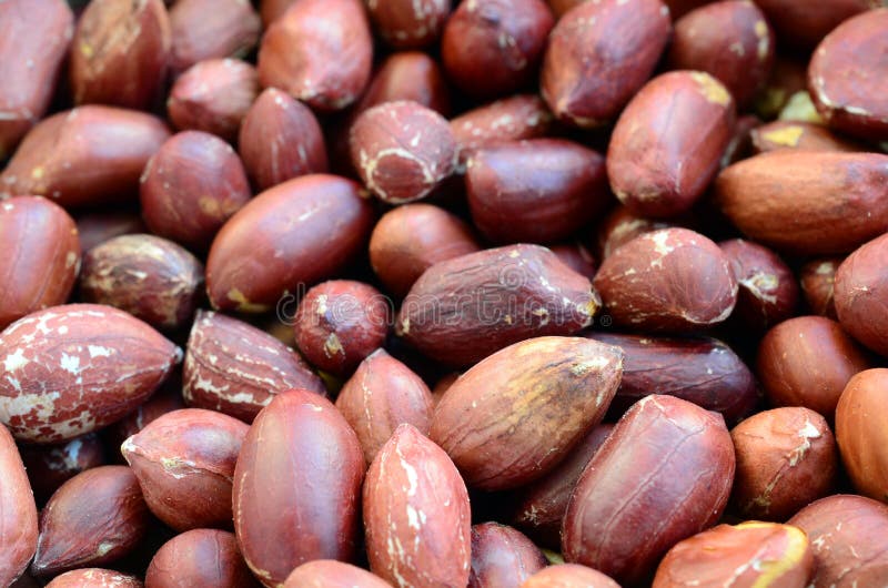 Peanut. a Lot of Small Yellow Nuts with Brown Peel Stock Photo - Image ...