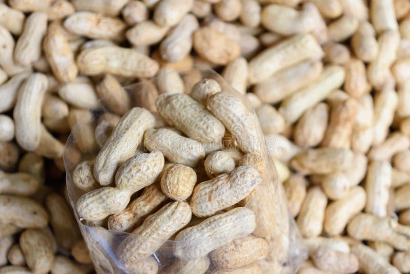 Peanut stock photo. Image of closeup, food, nourishment - 67854664