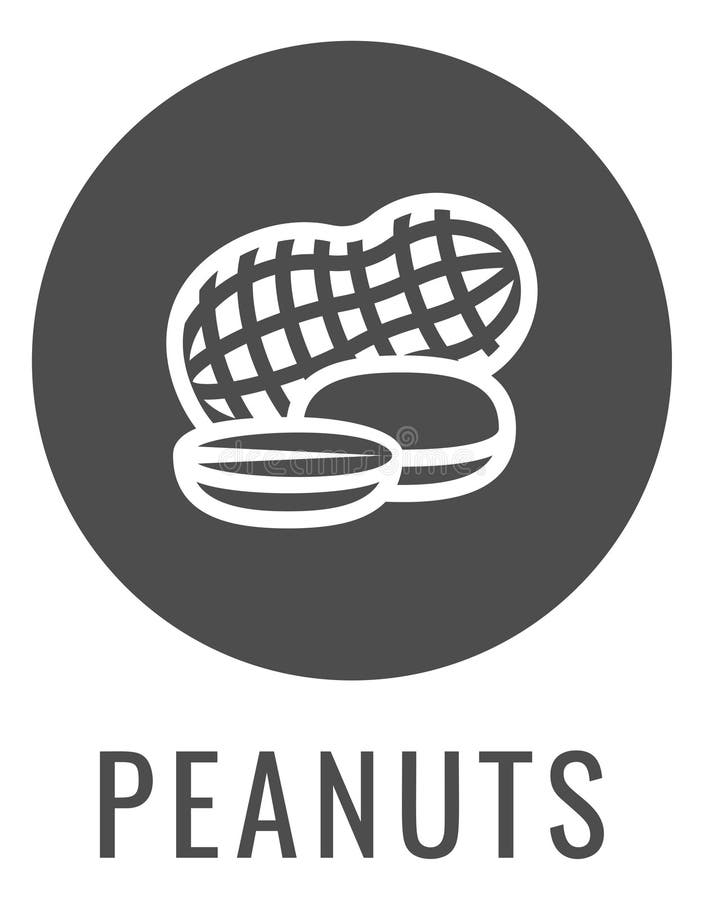 Peanut Nut Food Allergy Icon Concept Stock Vector - Illustration of ...