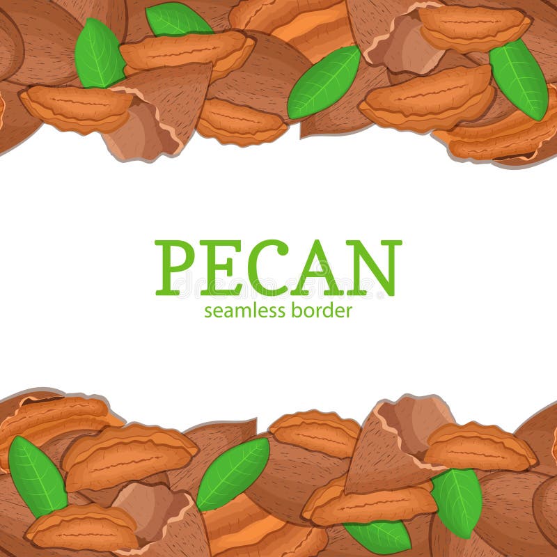 Peanut Nut Horizontal Seamless Border. Vector Illustration Card Top and ...