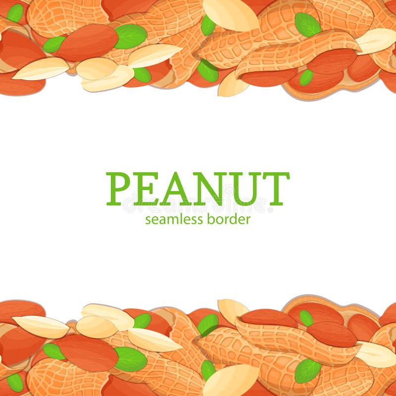 Peanut Nut Horizontal Seamless Border. Vector Illustration Card Top and ...