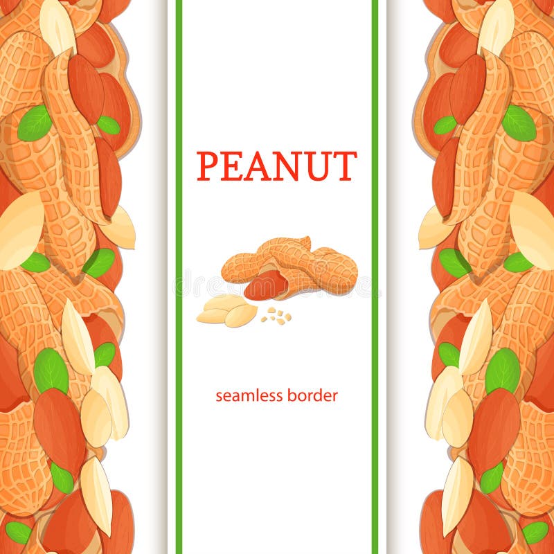 Peanut Nut Vertical Seamless Border. Vector Illustration with ...