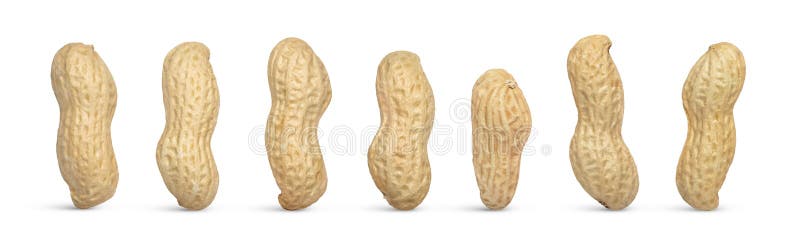 Peanut Nuts Isolated, Different Peanuts Collection Isolated. Stock ...