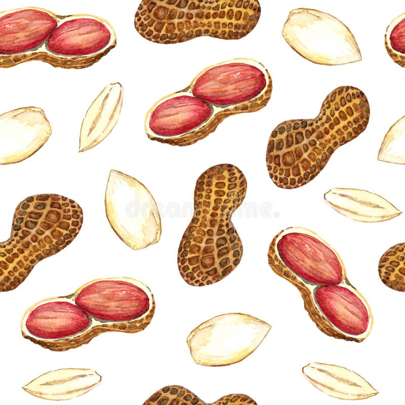 Peanut Nuts, Seamless Pattern Design on White Background Stock ...