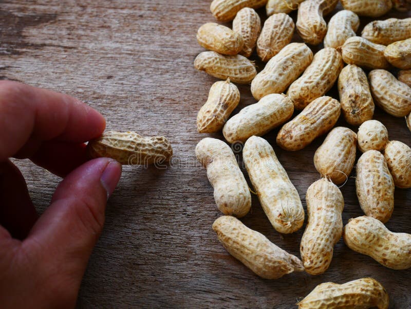 Peanut Open Shell on Group of Peanuts Close Shell Stock Photo - Image ...