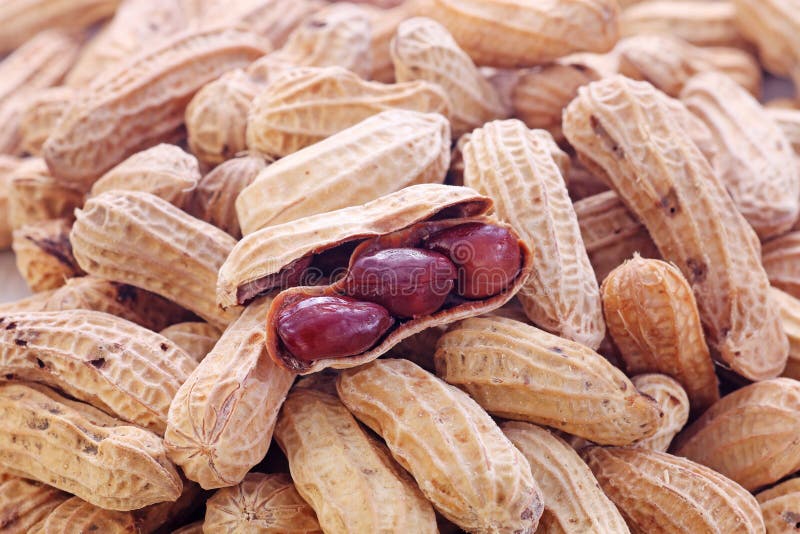 Peanuts stock photo. Image of graphic, ingredient, brown - 101250758