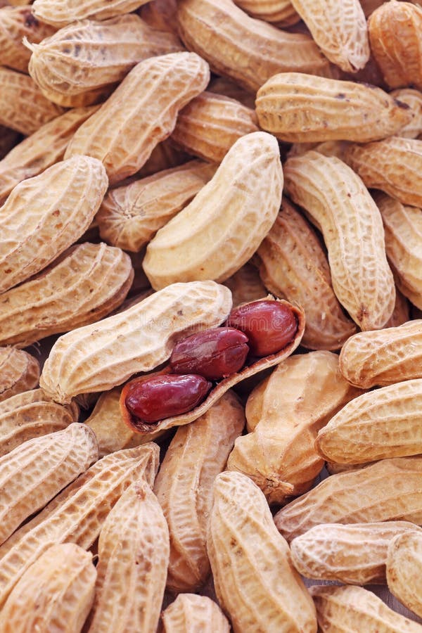 Peanuts stock image. Image of closeup, nature, delicious - 101250811