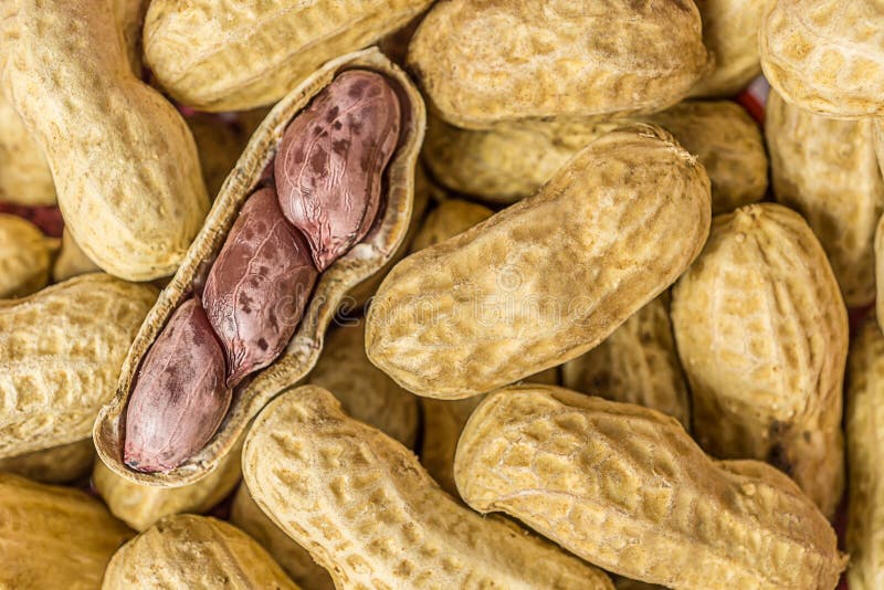 Pacoca is a Candy with Peanuts from Brazil. Sweet Food of Festa Stock ...