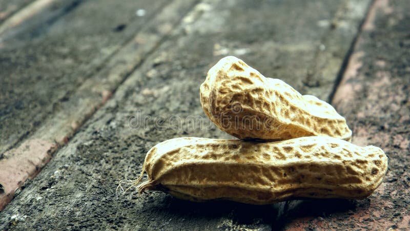 204 Peanut Pods Photos - Free & Royalty-Free Stock Photos from Dreamstime
