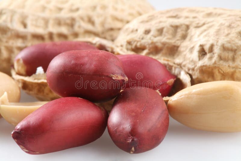 Peanut with pods stock photo. Image of food, leaflet, green - 9057990