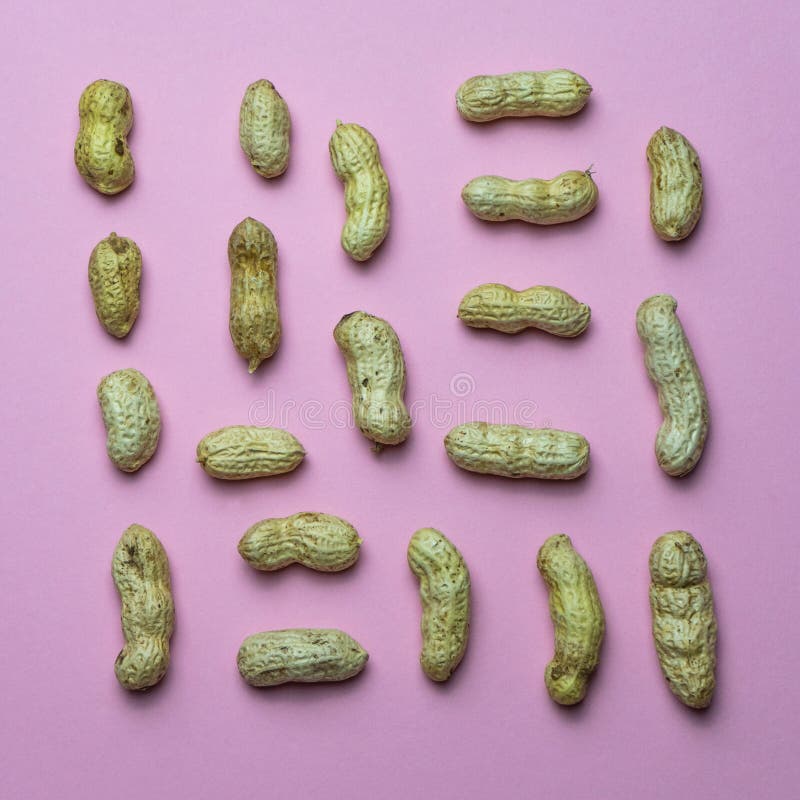 Peanut Random Flat Lay Pattern on Pink Background. Stock Image - Image ...
