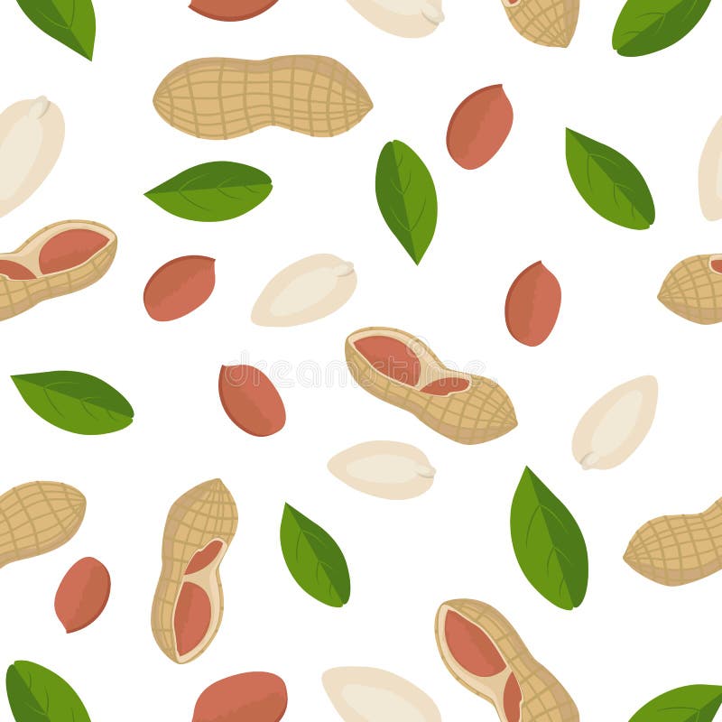 Peanut Seamless Pattern. Roasted Peanuts in Shell. Background Design ...