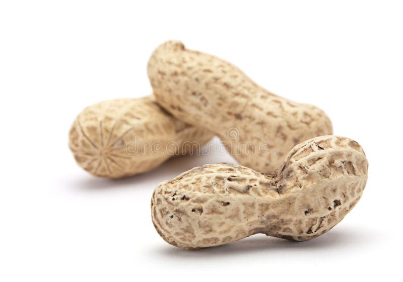 Peanut in shell stock image. Image of inside, close, food - 803095