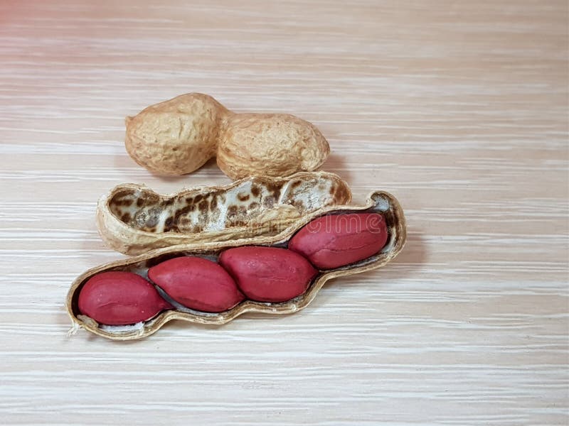 Peanut with shell stock photo. Image of color, nutshell - 104854712