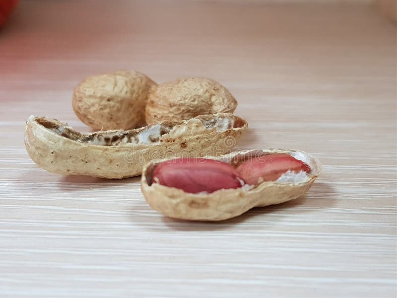 Peanut with shell stock photo. Image of group, peanut - 104854726