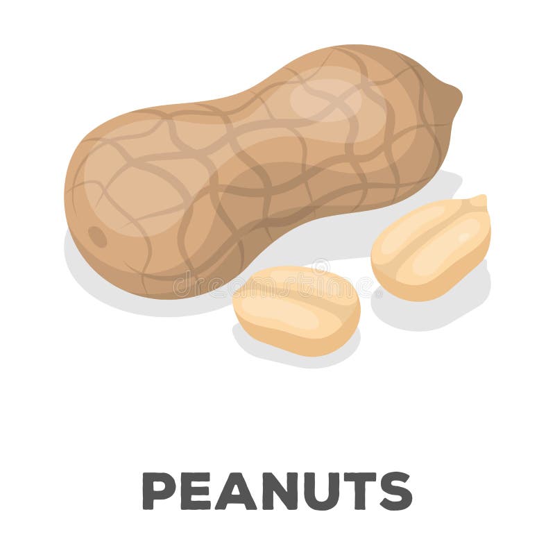 Cartoon peanut in shell stock vector. Illustration of funny - 43653793