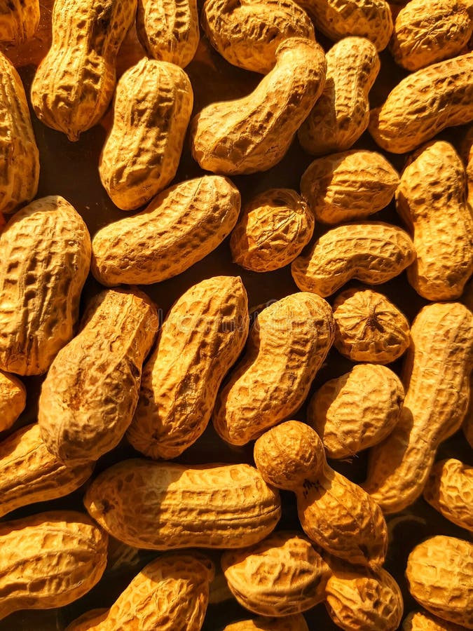 Peanut Shell Has a Golden Yellow Color Stock Photo - Image of shell ...