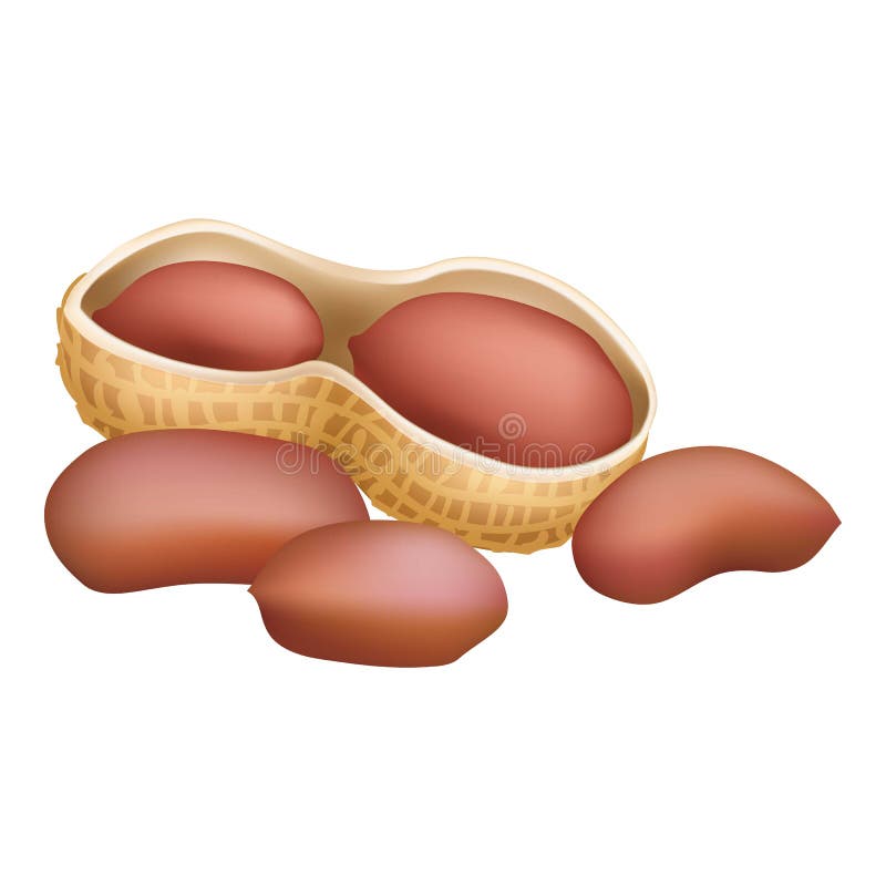 Cartoon peanut in shell stock vector. Illustration of funny - 43653793
