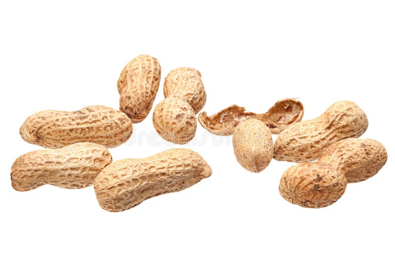 Peanut in shell stock image. Image of ingredient, isolated - 16234691