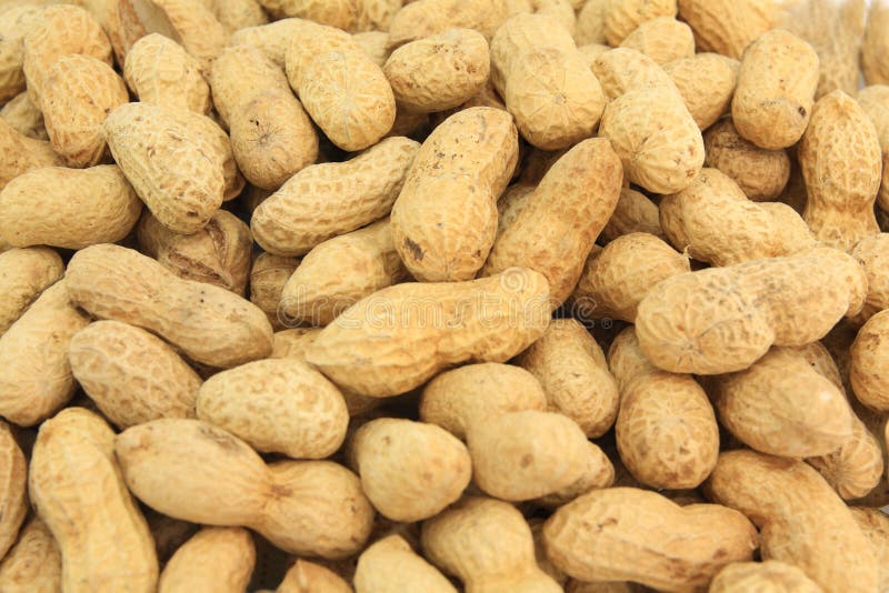 Peanut Shell Pile stock image. Image of wallpaper, photograph - 17955701