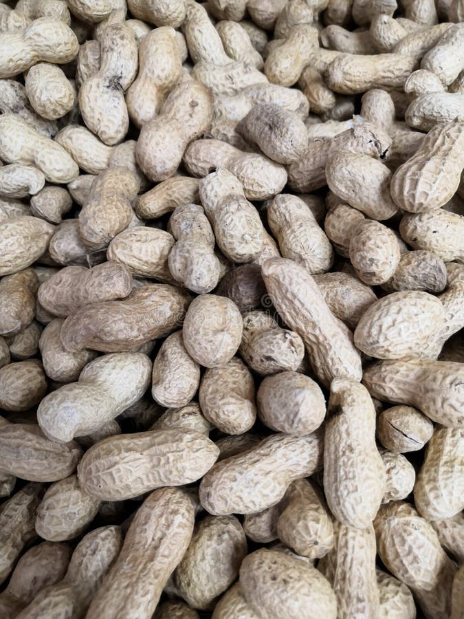 Peanuts in the Peel on a White Background Stock Image - Image of peeled ...