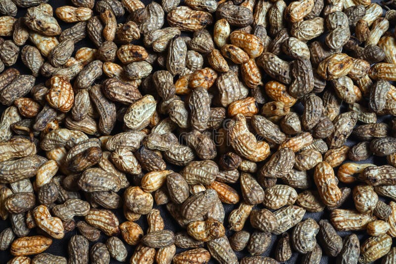 Food background of peanuts stock photo. Image of crop - 260242860