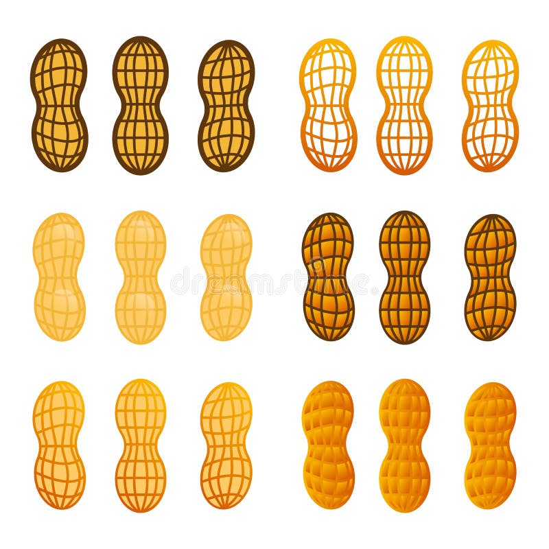 Peanut in Shell Vector Icon Set. Cartoon Illustration of Nut Icon for ...