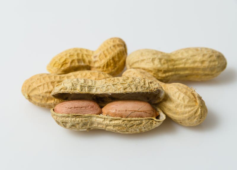Peanut with shell stock image. Image of crunchy, group - 55427713