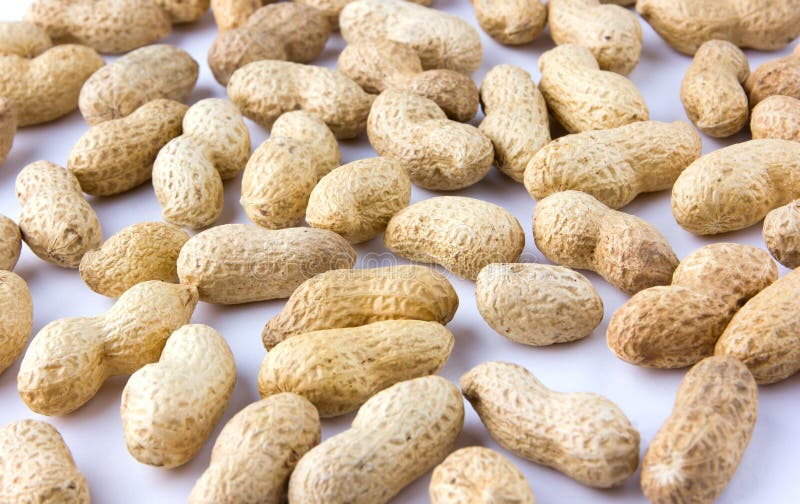 Fried peanuts in shell. stock image. Image of food, fried - 106097485